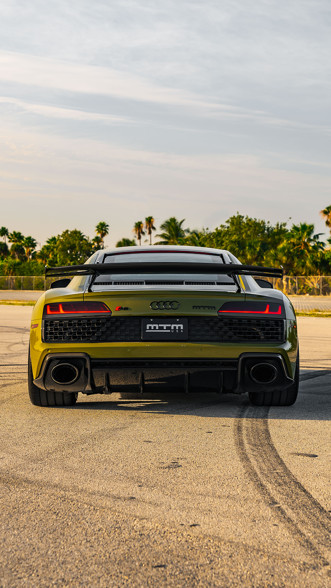 Automotive Passion R8 DTM Style Wing – MTM USA LLC